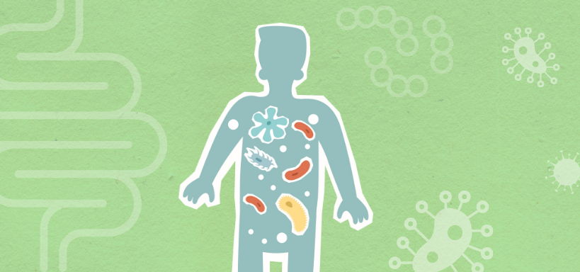 What Are Postbiotics and Why Do They Matter?– Klora